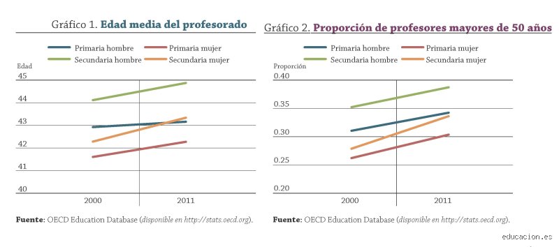¿Cuántos años tienes que tener para ser profesor? Requisitos legales y ...